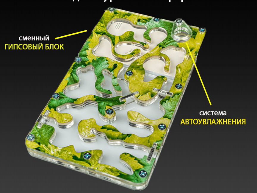 Муравьиная ферма (Формикарий) блок расширения