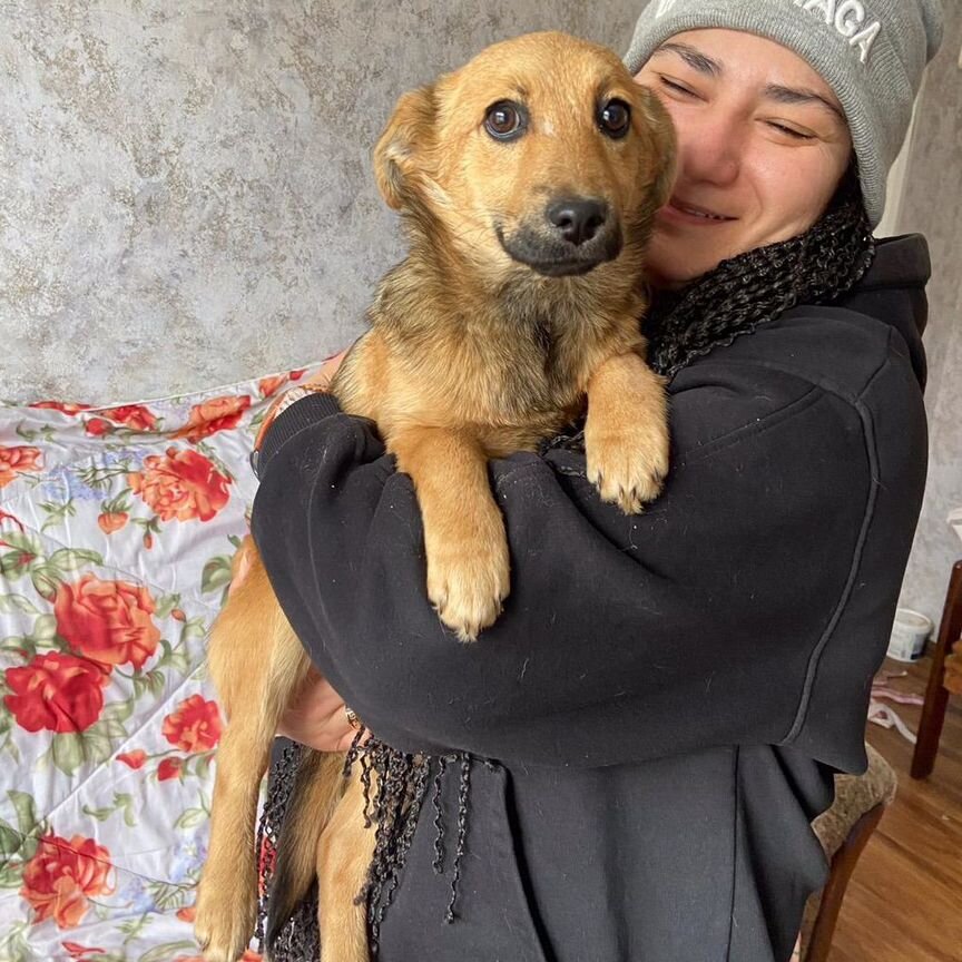 Щенулька для вас