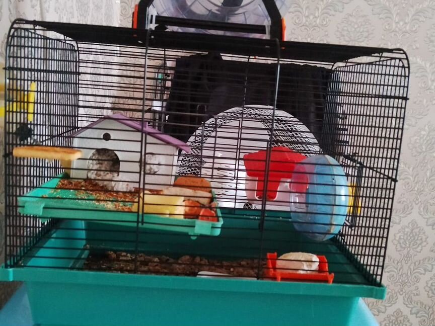 Клетка для хомяка