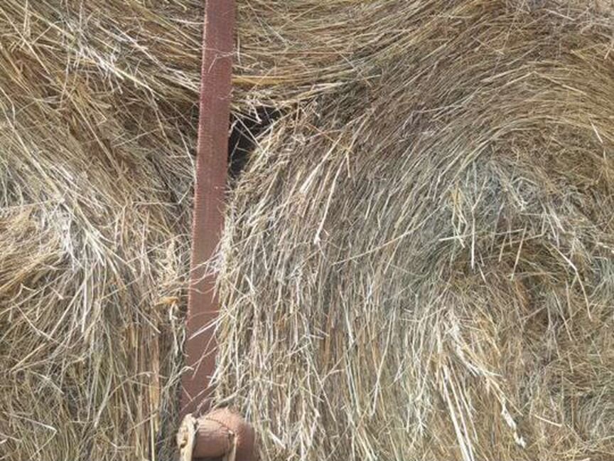 Свежее сено 2023 в рулонах луговое