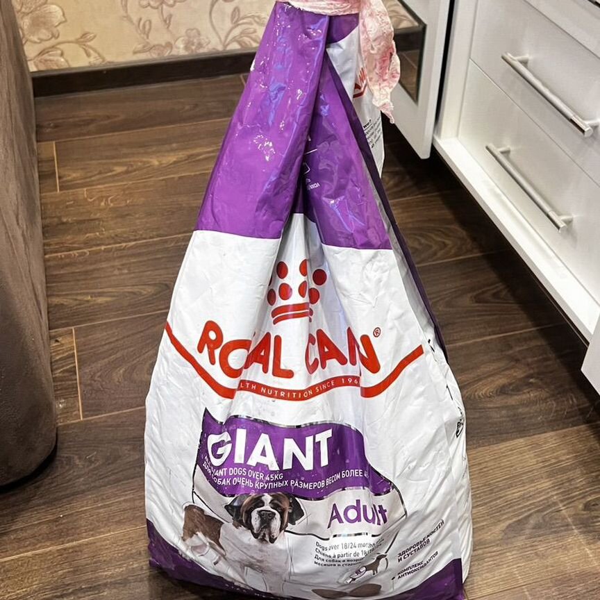 Royal canin giant adult