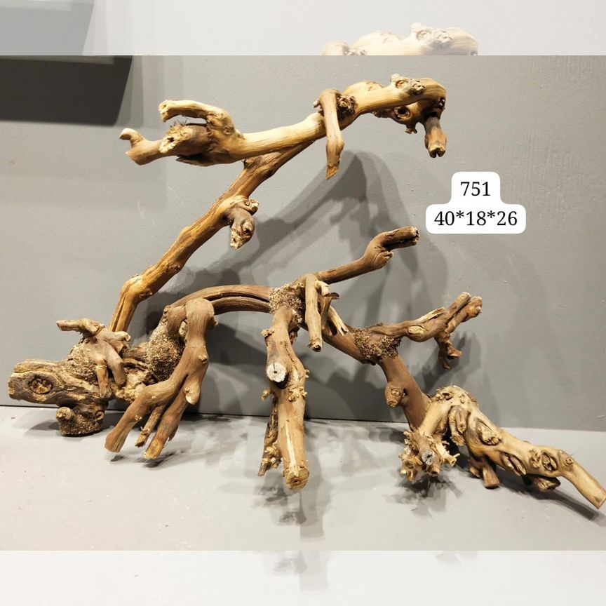 Коряги для аквариума