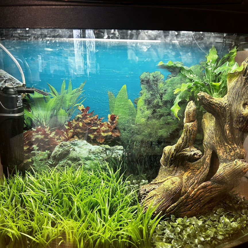 Аквариум комплект