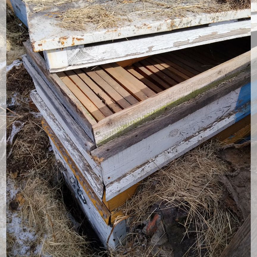 Все для пчеловодства