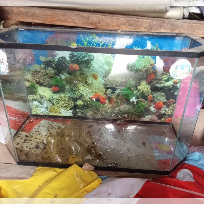 Аквариум