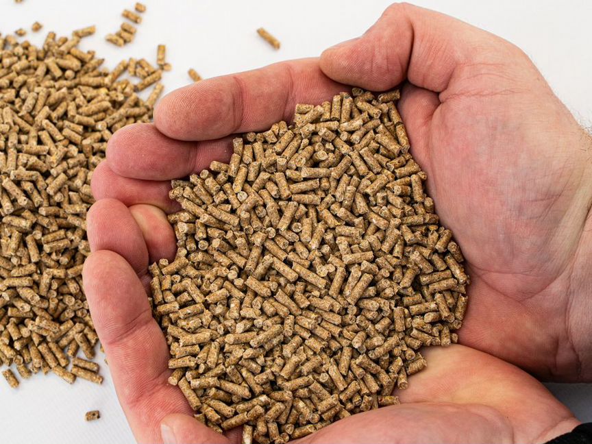 Корм для кур, свиней, коров, кроликов, овец опт