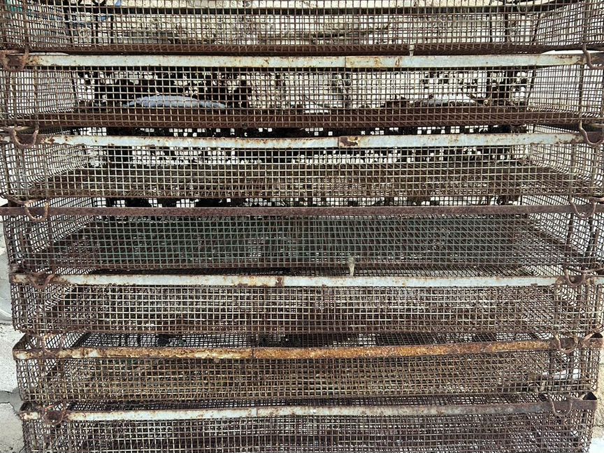 Выводные лотки для инкубатора иуп-Ф-45