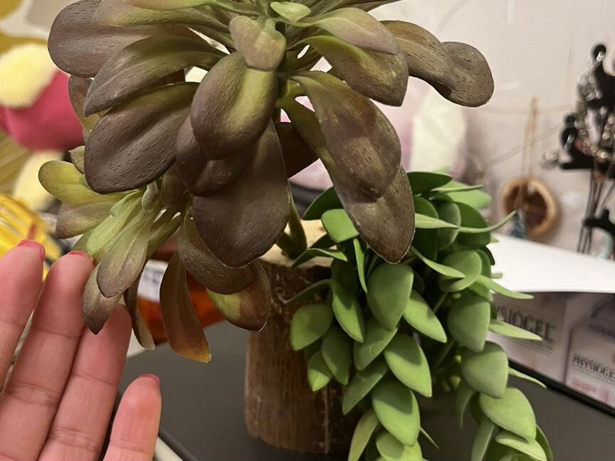 Декорации для террариума