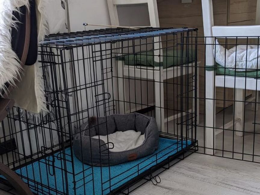 Клетка дом животных, аренда