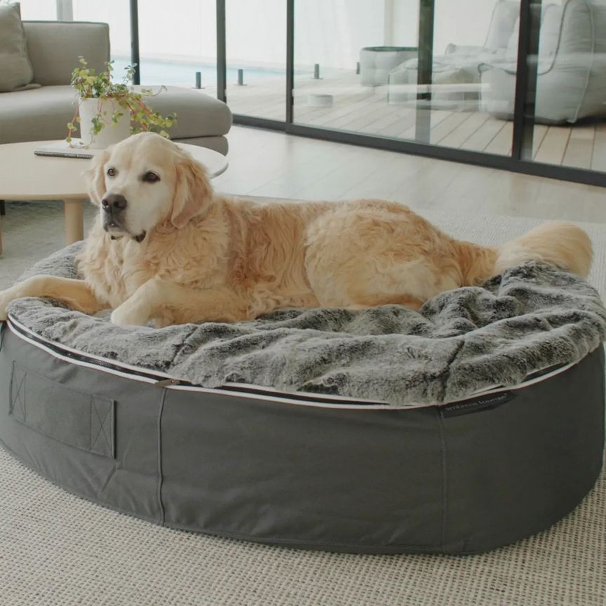 Лежак для собак