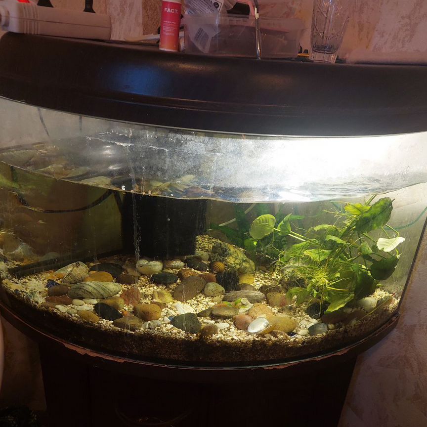Аквариум 120 литров с тумбой