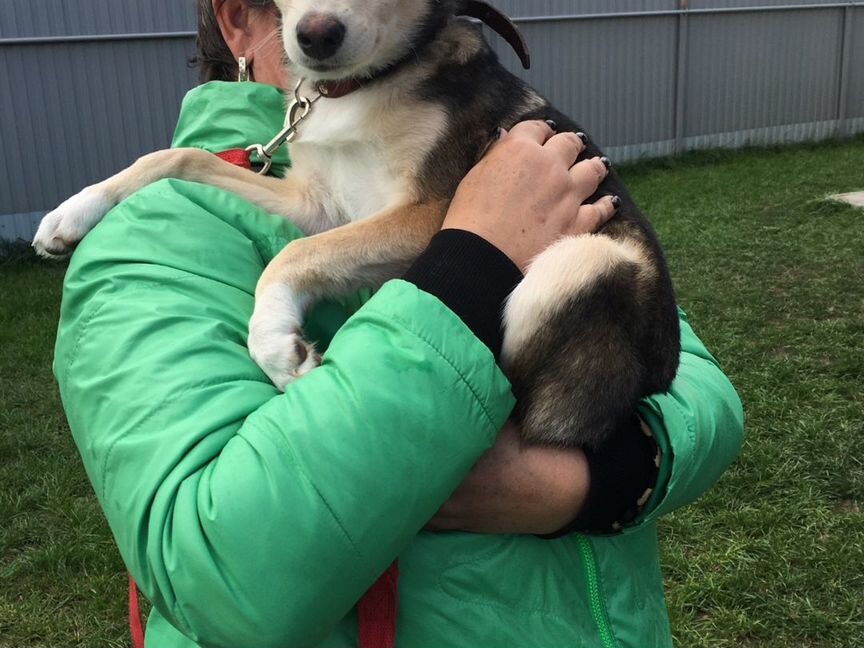 Аля очень ищет дом