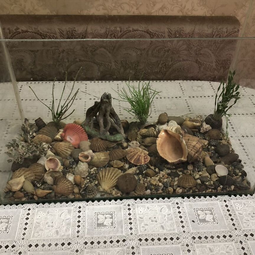 Аквариум 45л с ракушками,камнями,иск.водорослями