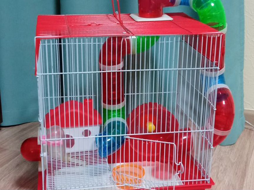 Благоустроенная квартира для хомки