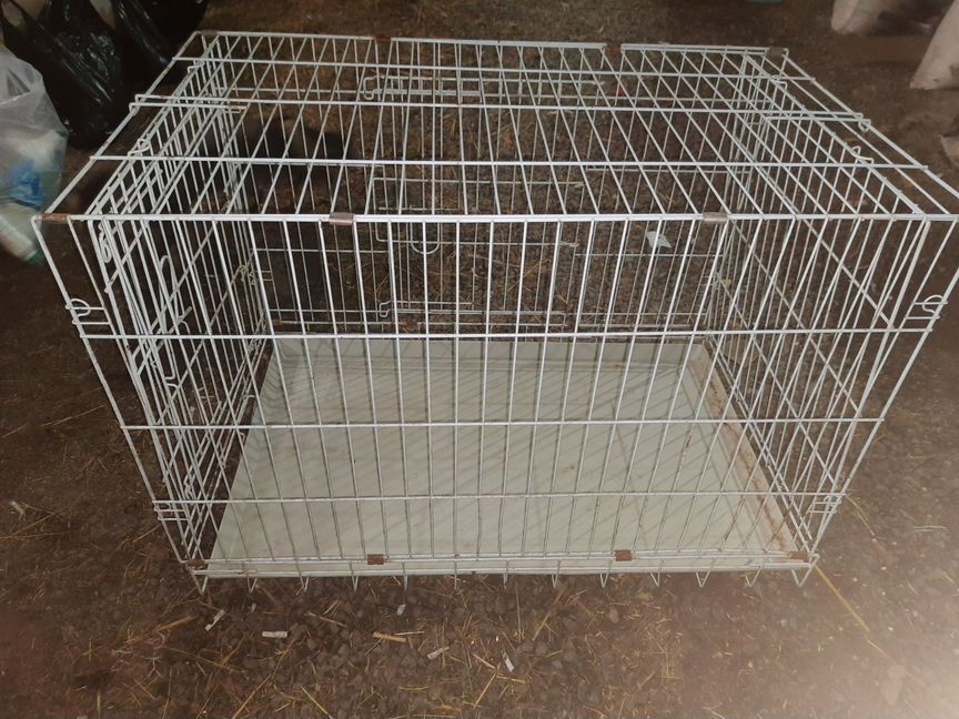 Клетка номер 4