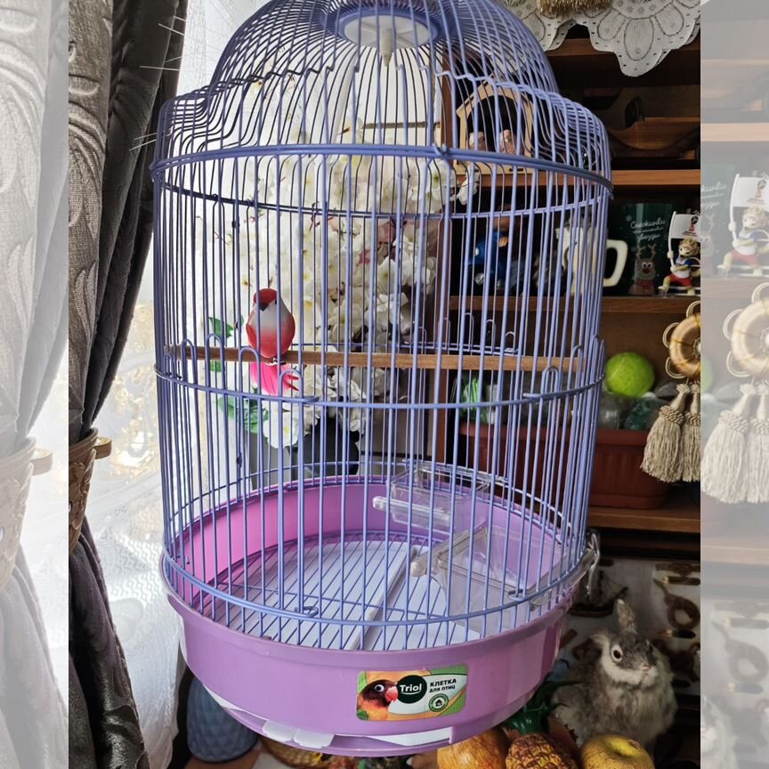 Клетка для попугая