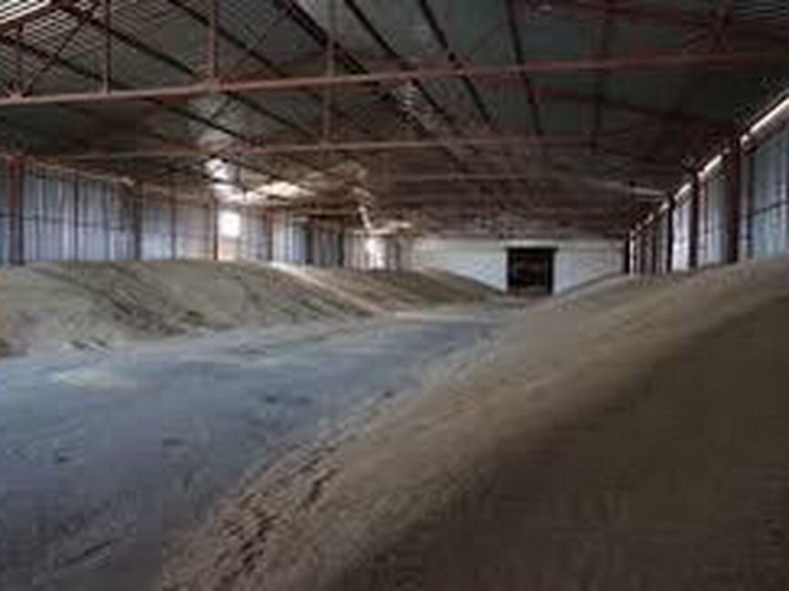 Зерно овес обмен