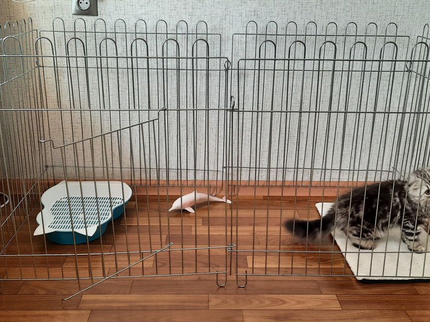 Вольер для животных