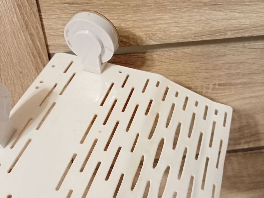 Мостик для черепах