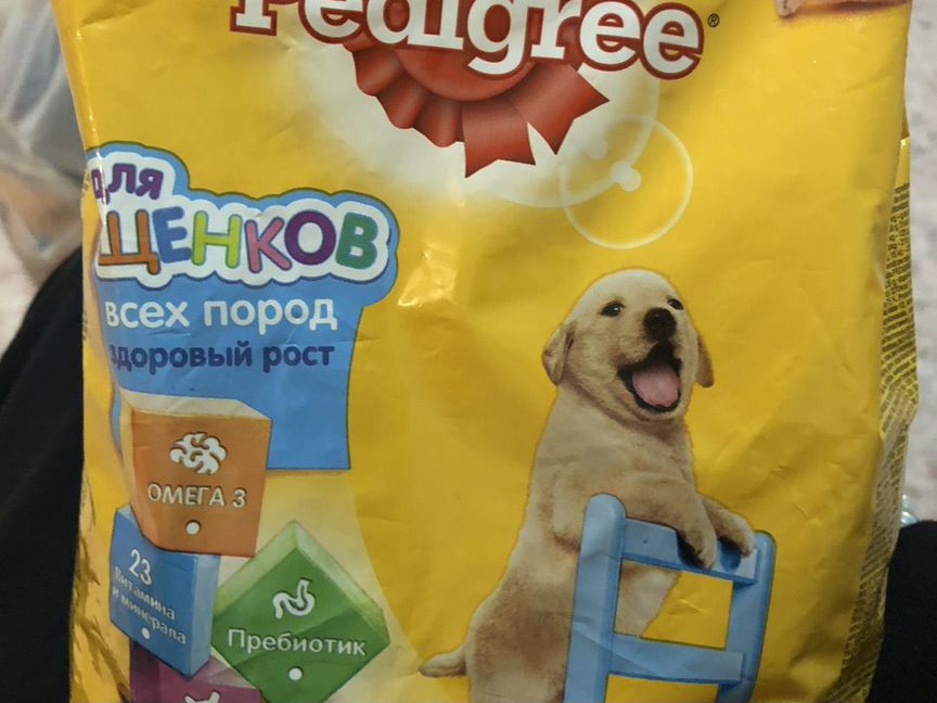 Корм, лоток, пеленки, наполнитель