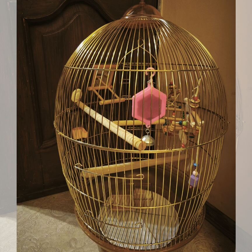 Клетка для птиц большая
