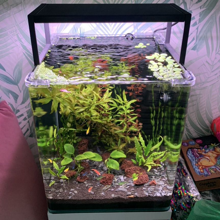 Светильник для аквариума Chihiros wrgb2 slim 30см