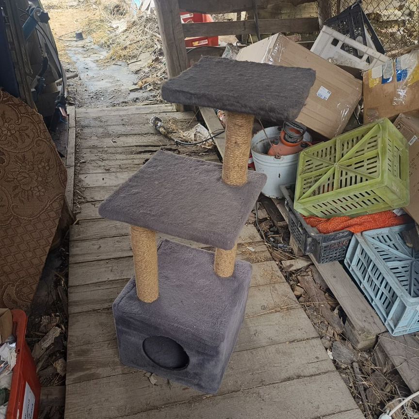 Когтеточка