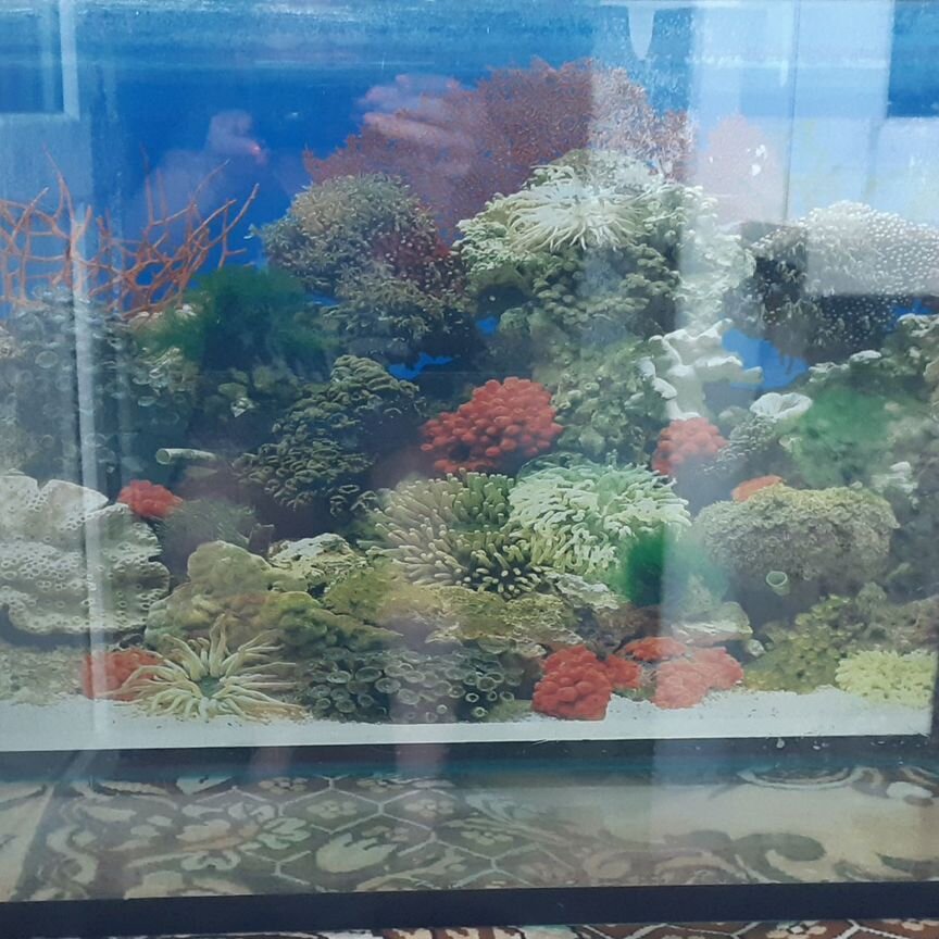 Аквариум 70 л