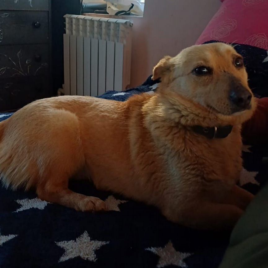 Мини прелесть Сонечка