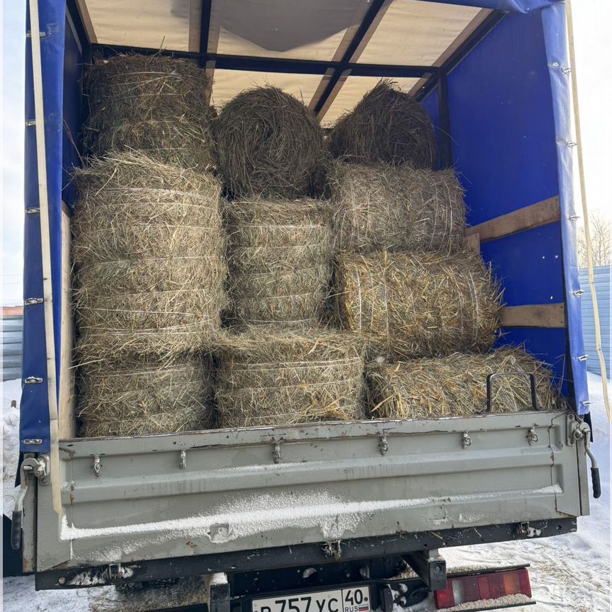Сено в рулонах