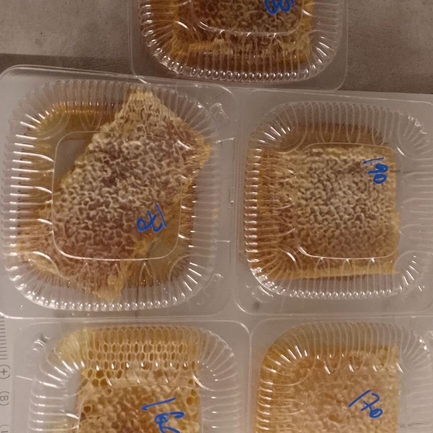 Подмор