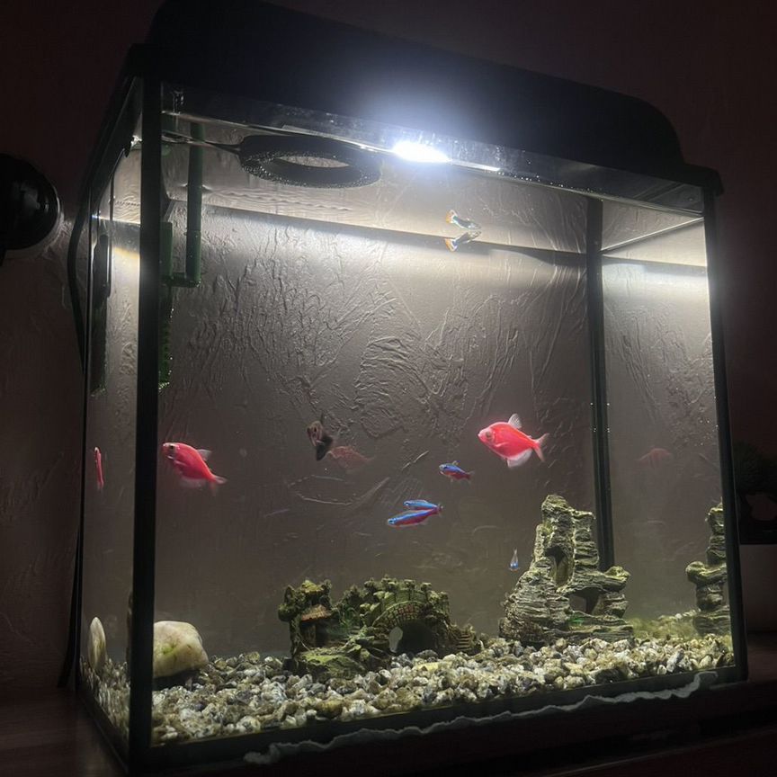 Аквариум с рыбками 20 литров