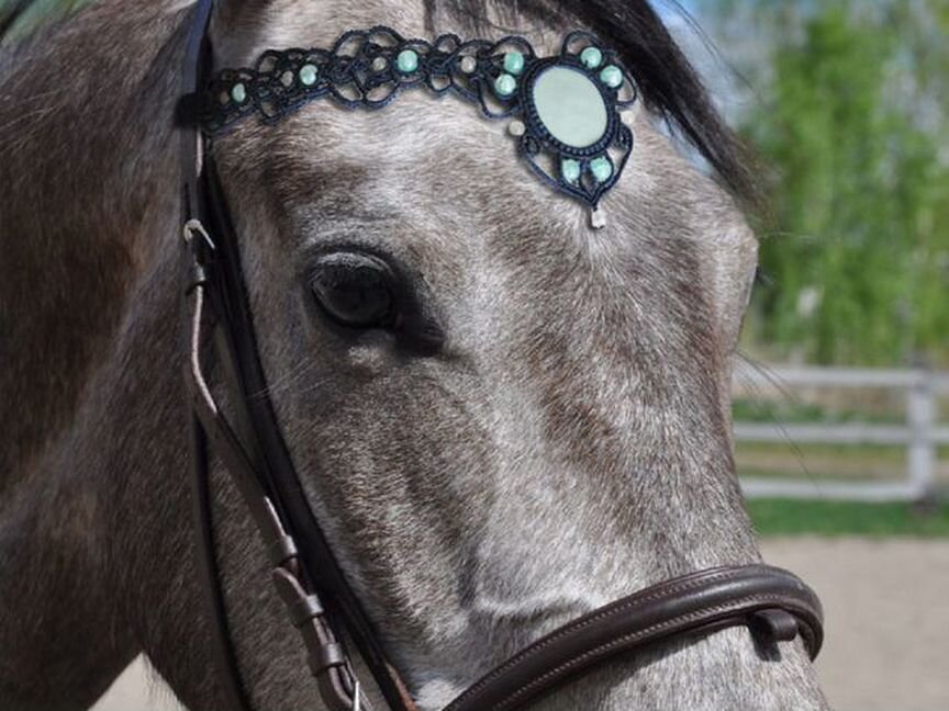 Налобник для лошади