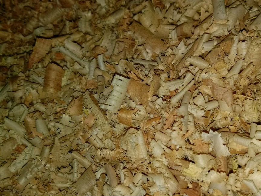 Древесная шелуха