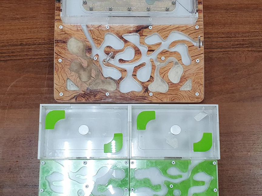 Продам формикарии для муравъев