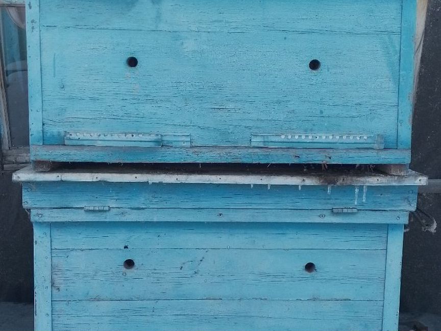 Улей для пчел бу лежак