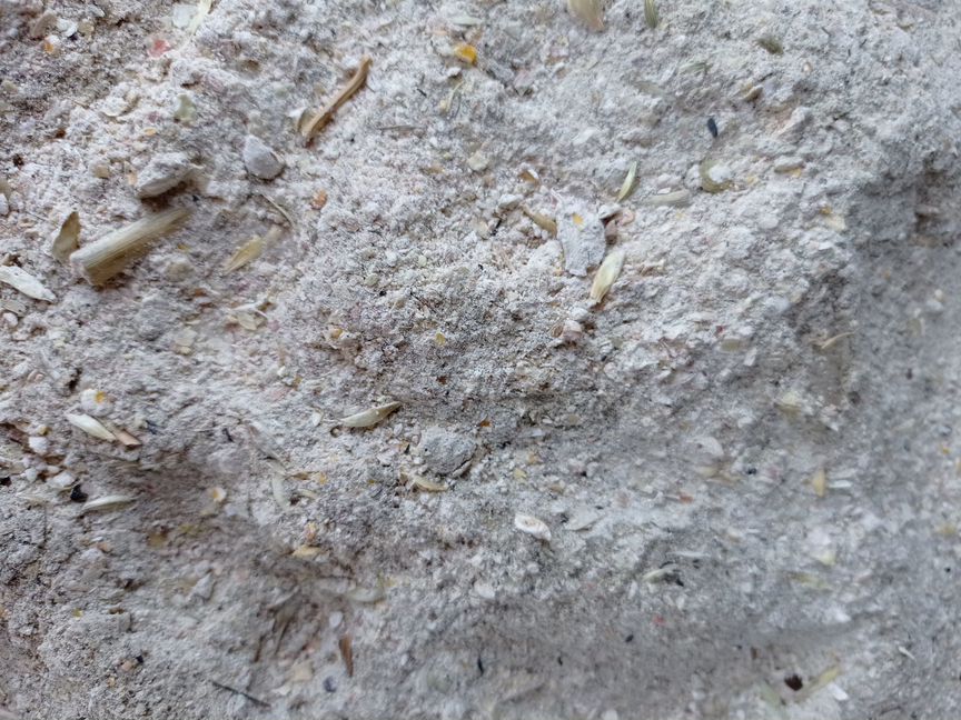 Мука, сено, мякина (полова), сухари