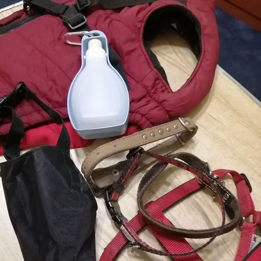 Аксессуары для собак в приют