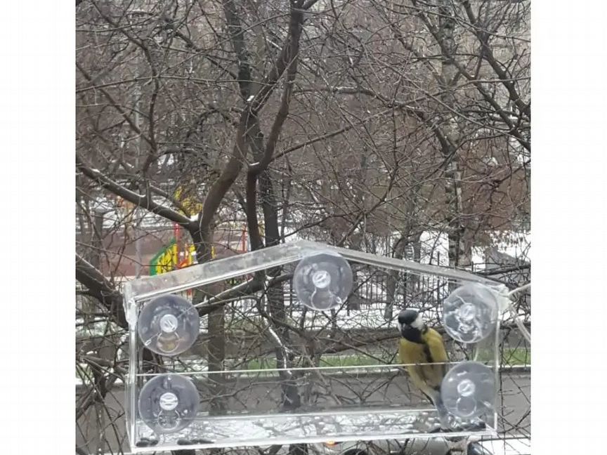 Скворечники для птиц прозрачный на окна