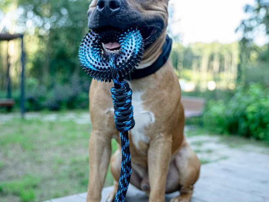 Грейфер игрушка для собак. Новый. Брак