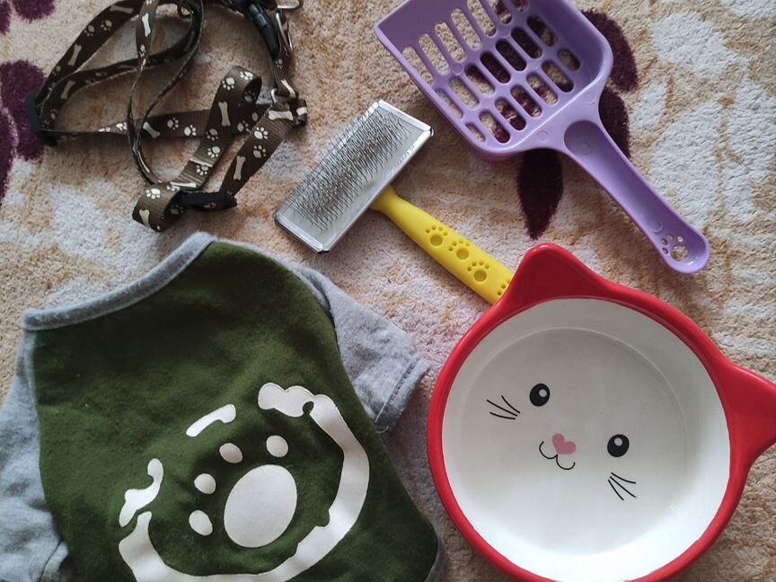 Вещи для котика/котёнка