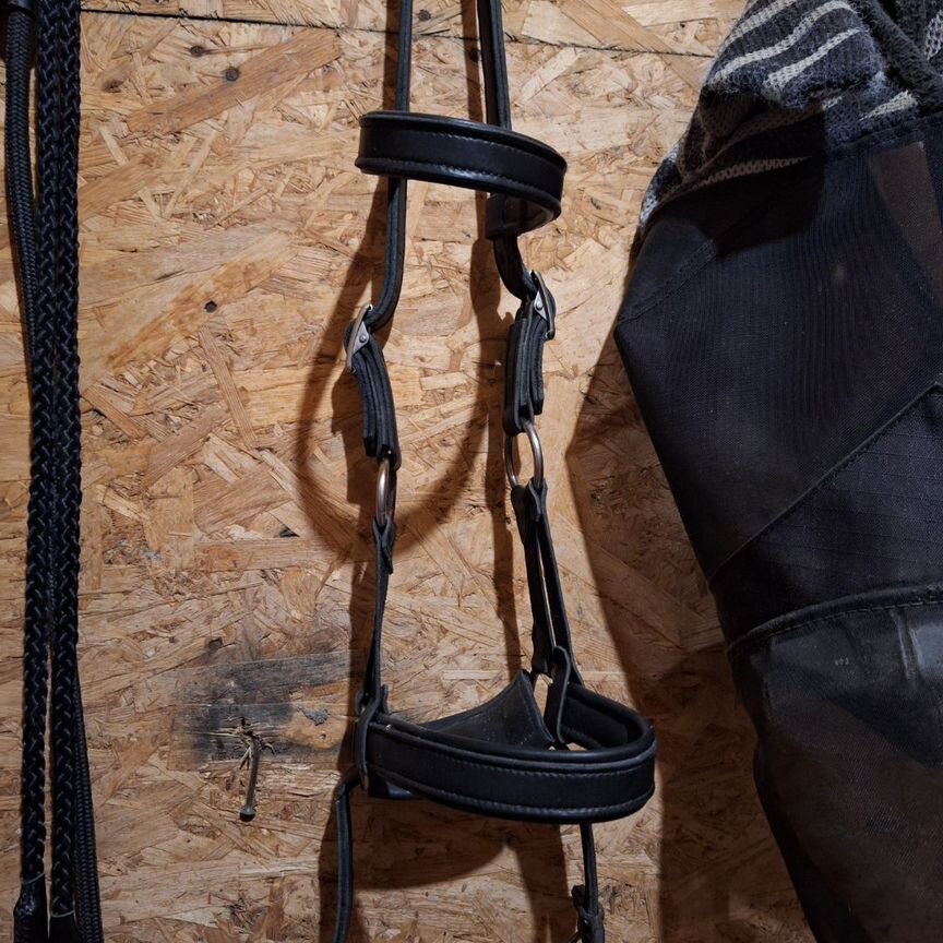 Сайдпул для лошади