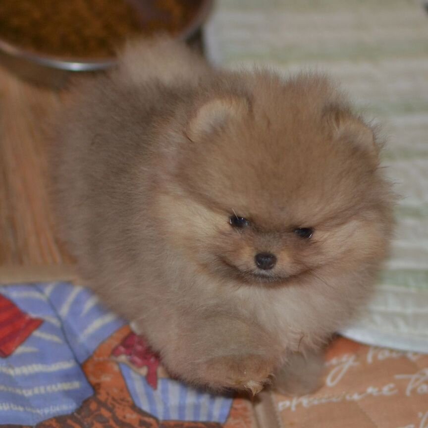 Минюшный мальчишечка