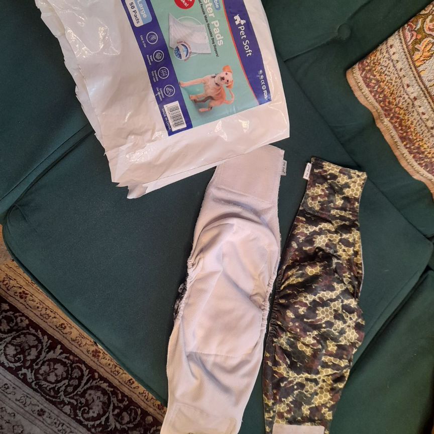 Подгузники и пояс для подгузников для собачки