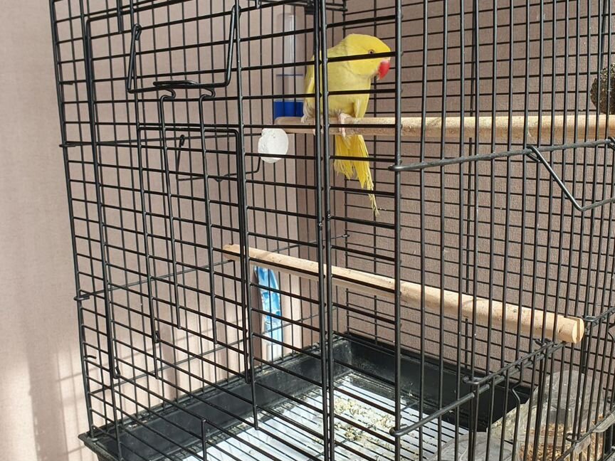 Клетка для попугая