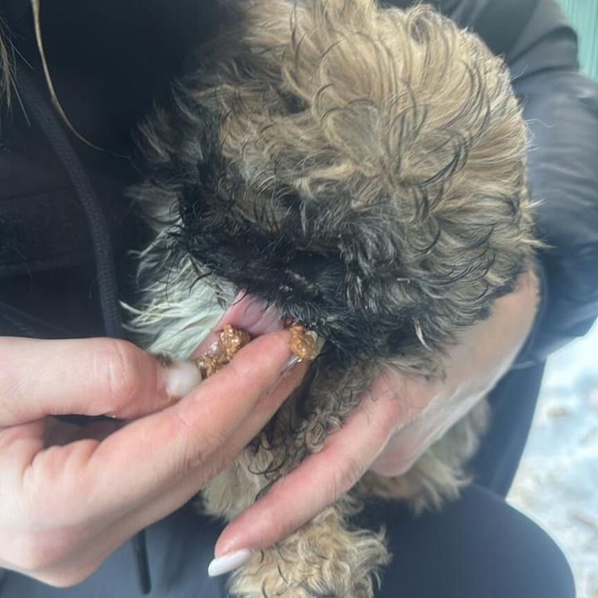 Помощь малышу Кузе