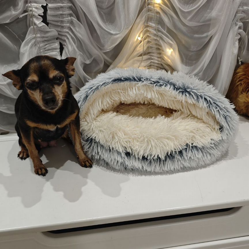 Домик для маленькой собачки