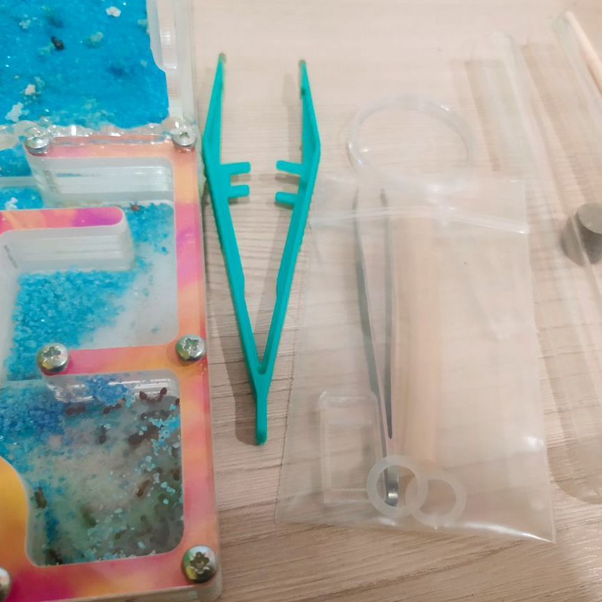 Муравьиная ферма