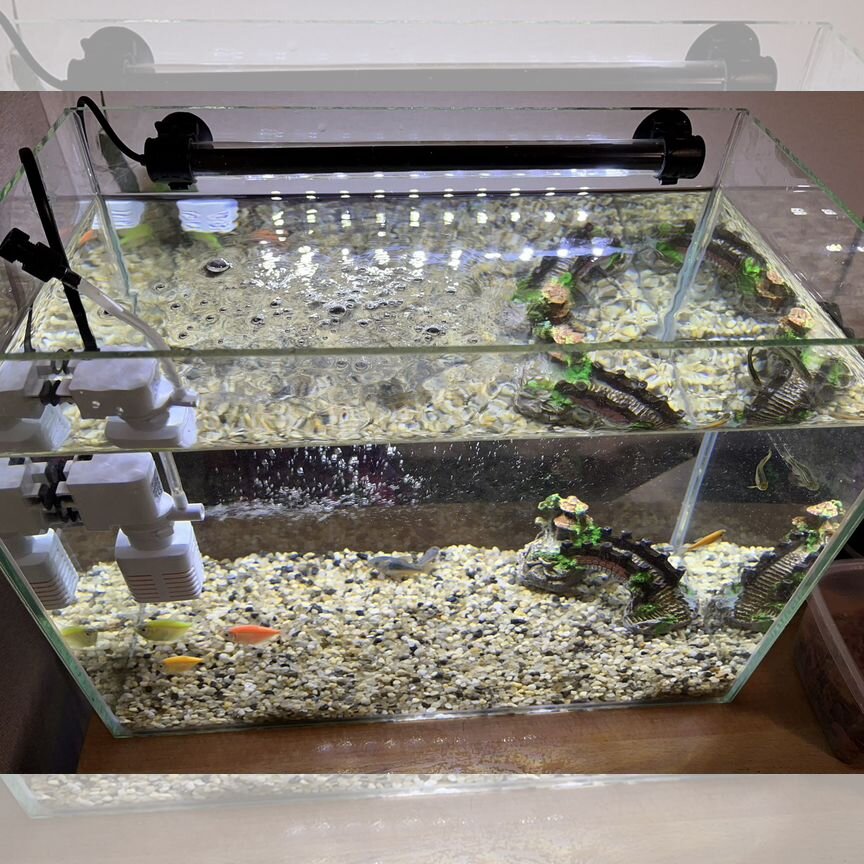 Аквариум с рыбками