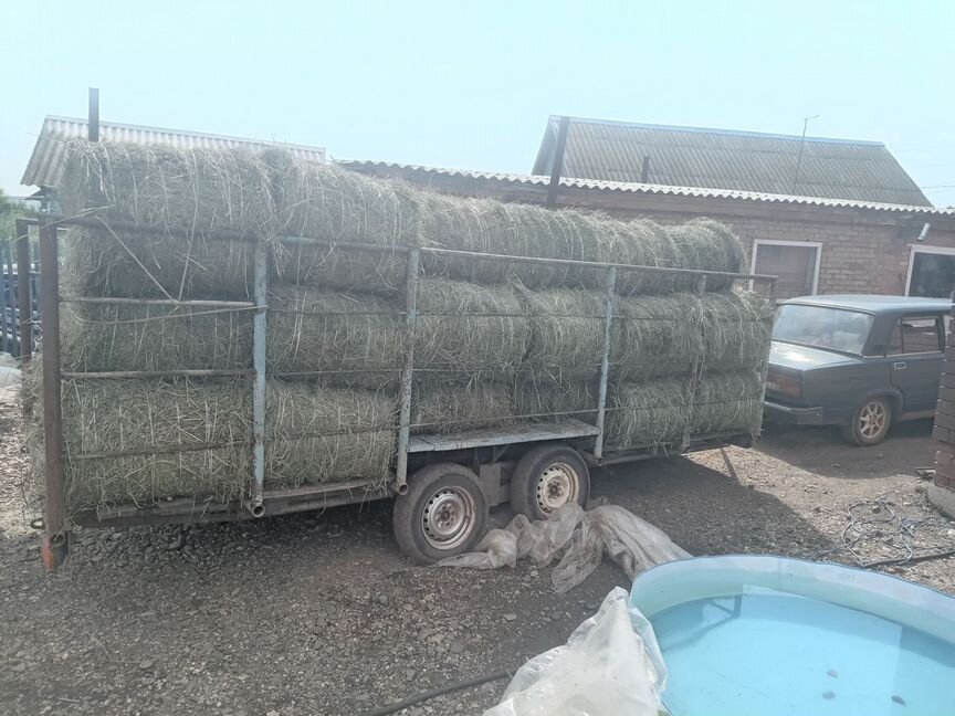 Продам сено в маленьких